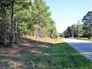 25 Discoveries on SC Highway 25 - The Old 96 District - South Carolina