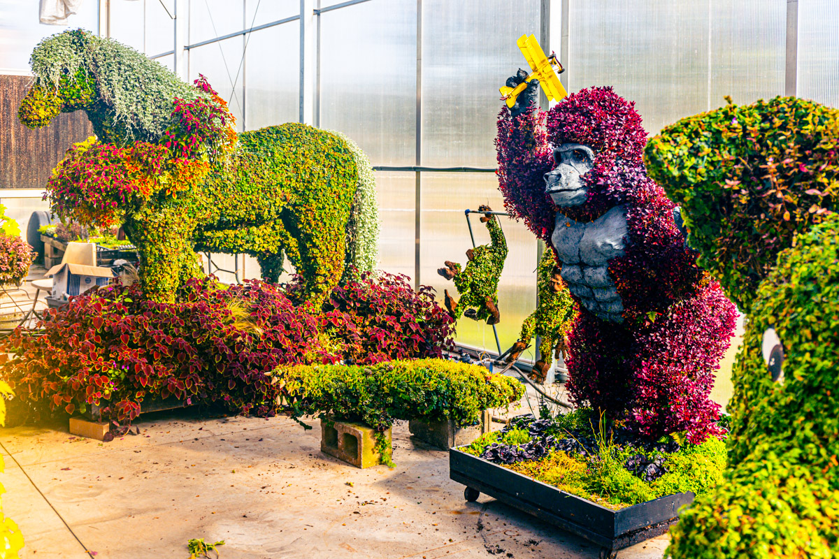 7 Reasons to Visit the SC Festival of Flowers in Old 96 District - The ...